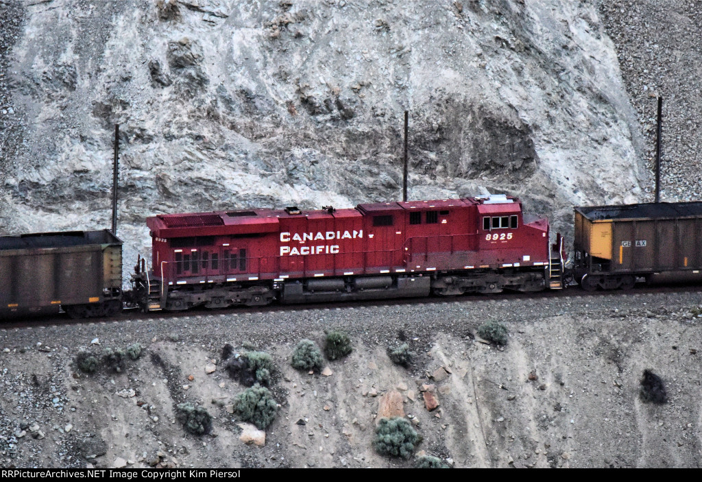 CP 8925 Mid-Train DPU